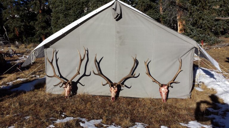 Timberline Mule Deer Camp – Legacy West Outfitters
